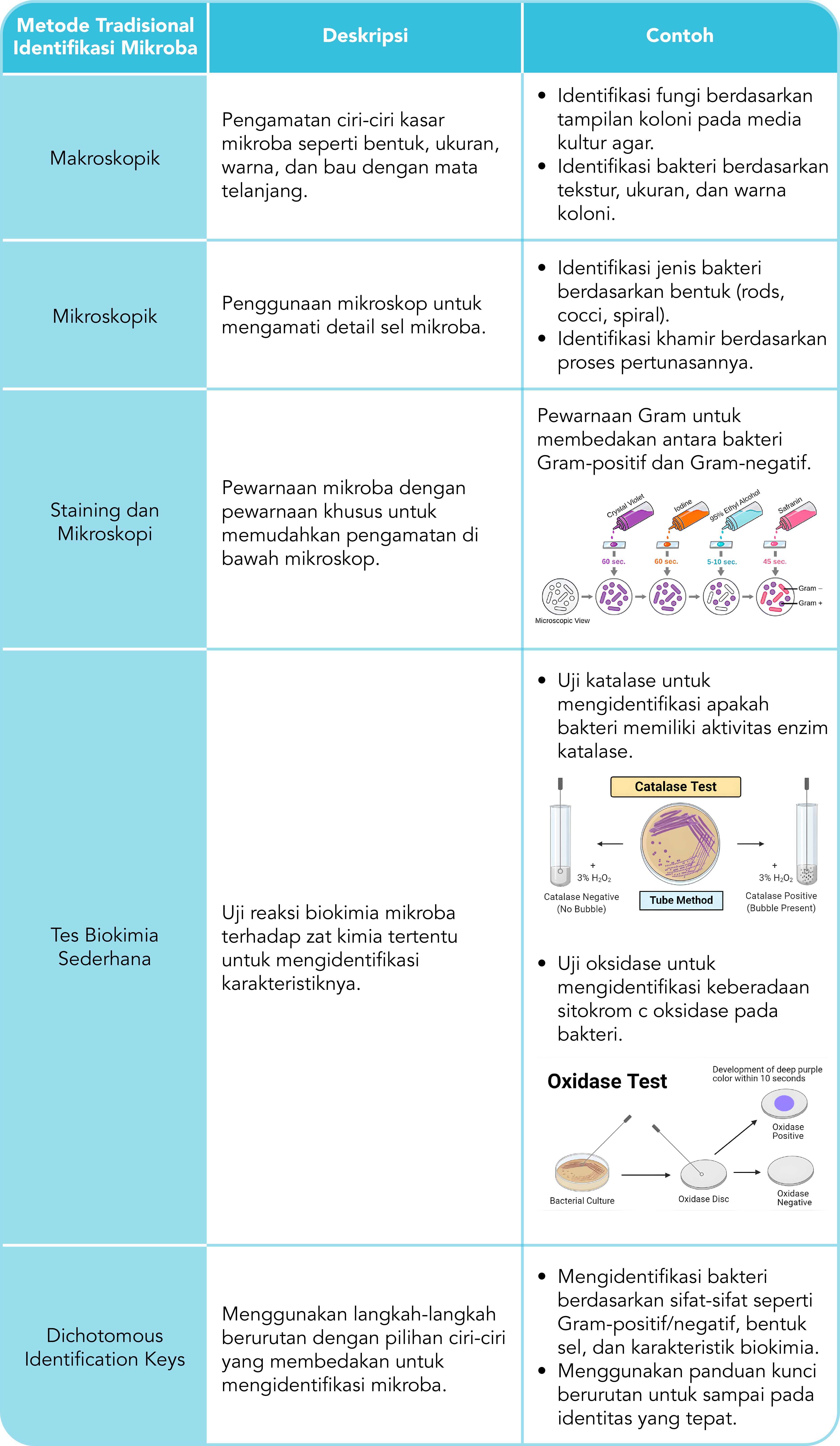 Teknik Isolasi dan Identifikasi