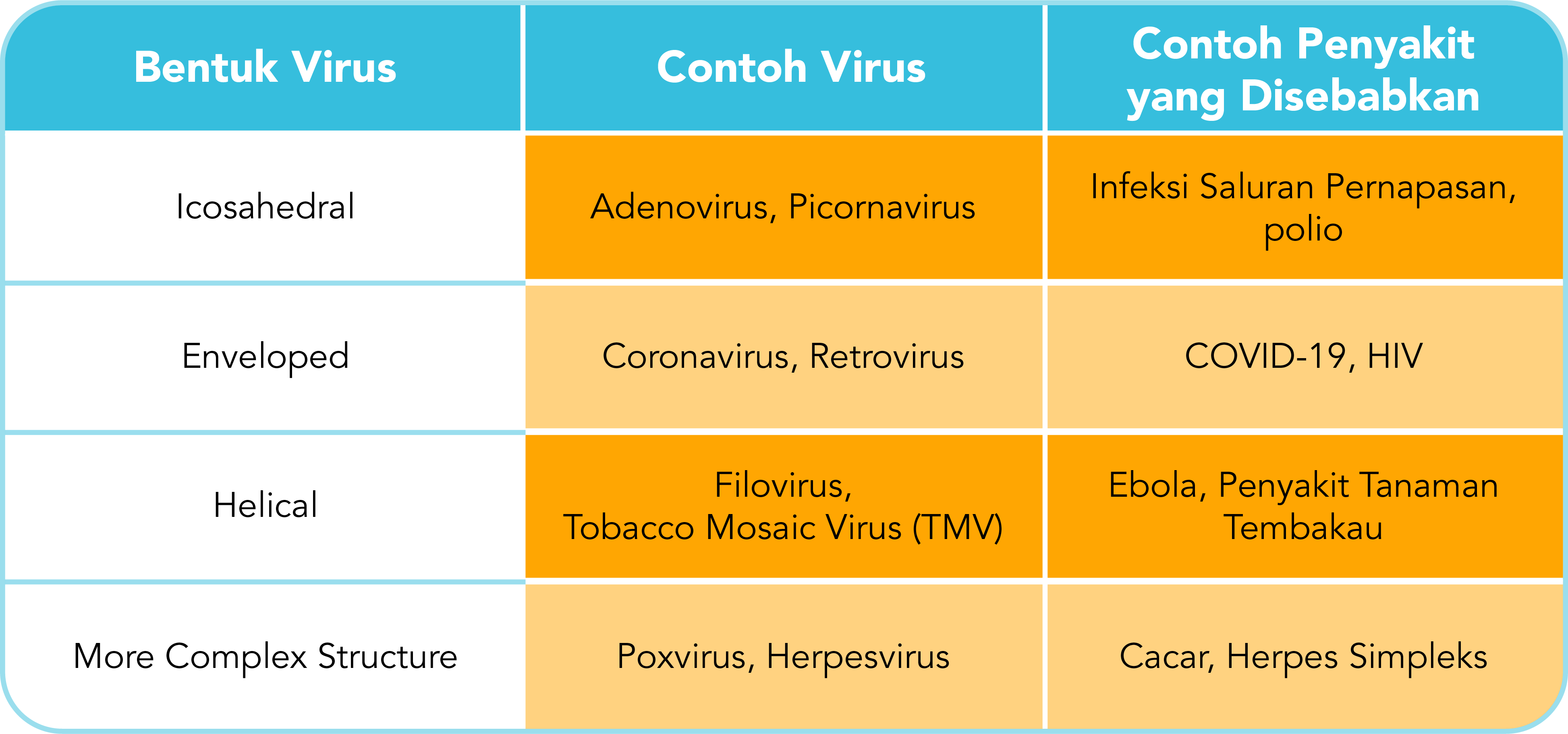 Klasifikasi Mikroorganisme