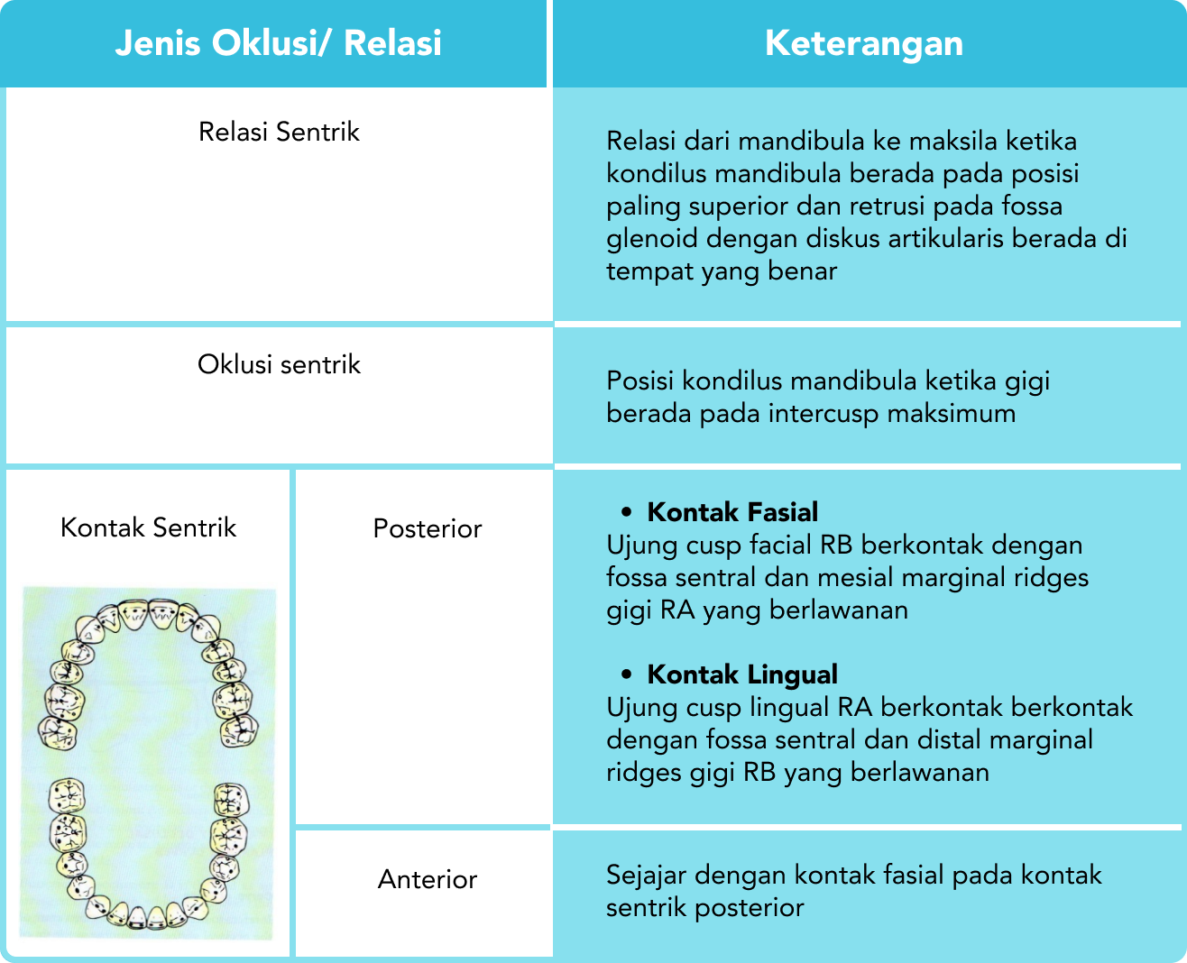 Oklusal Adjustment