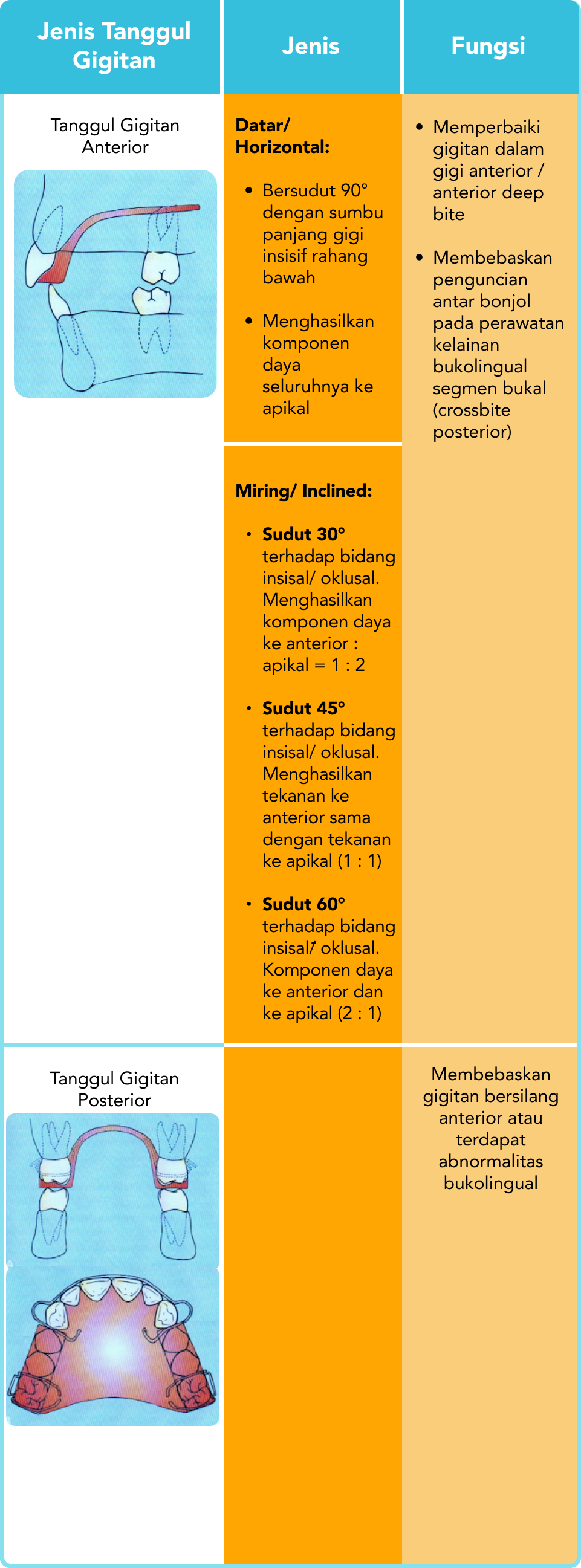 Perawatan Ortodonti Lepasan