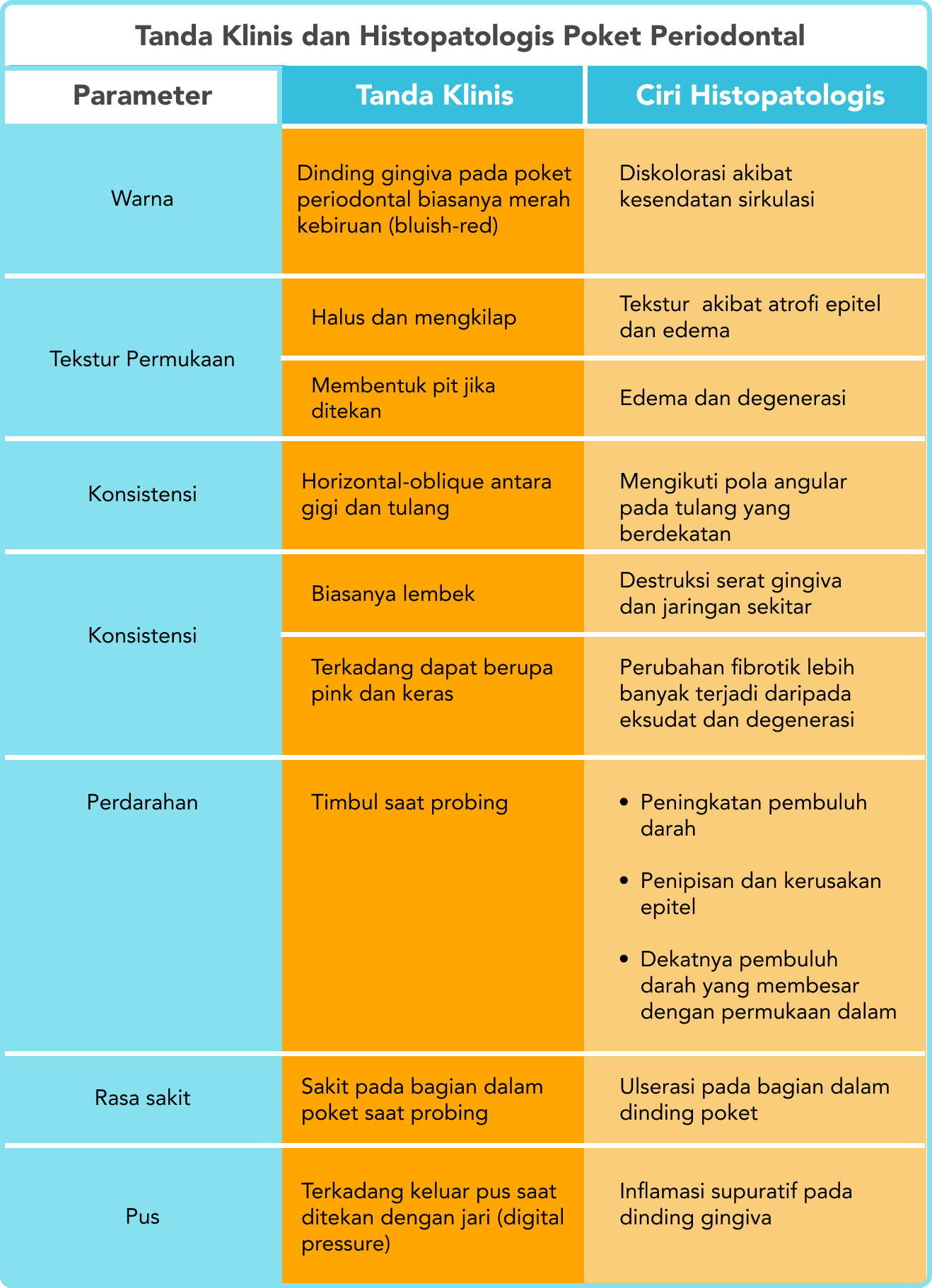 Flap dan Cangkok Gingiva