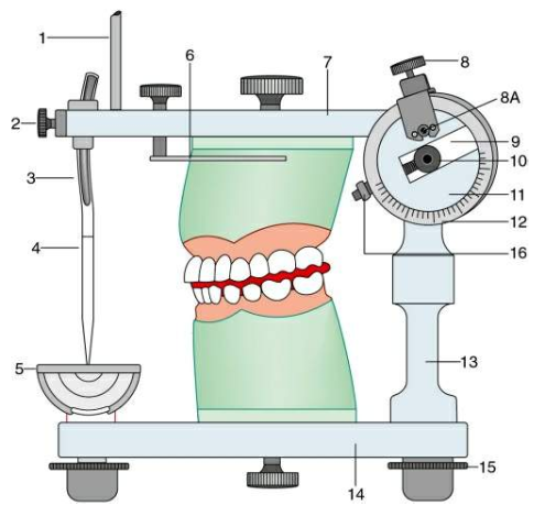 Articulator Mounting