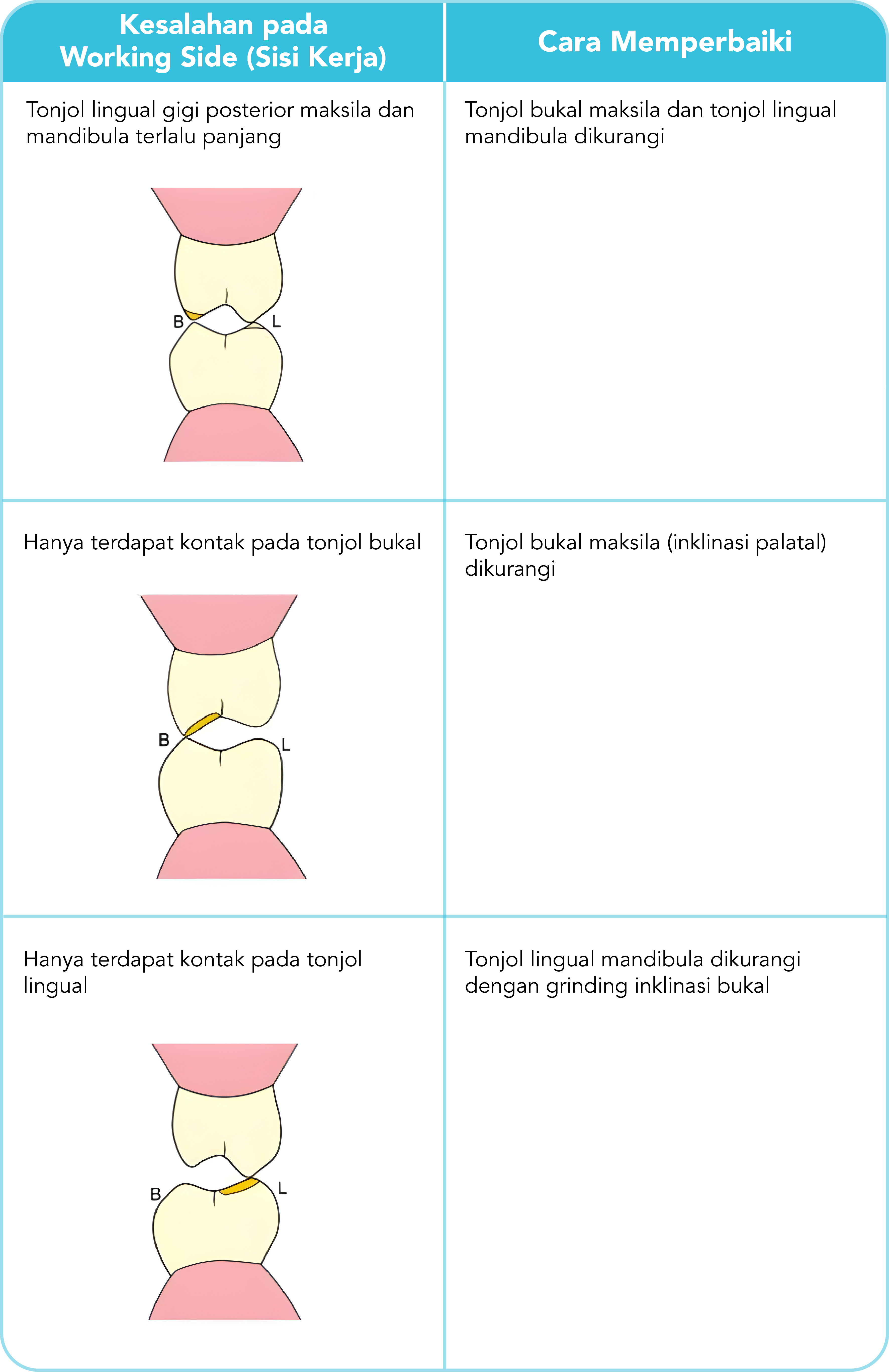 Insersi dan Penyesuaian Oklusi