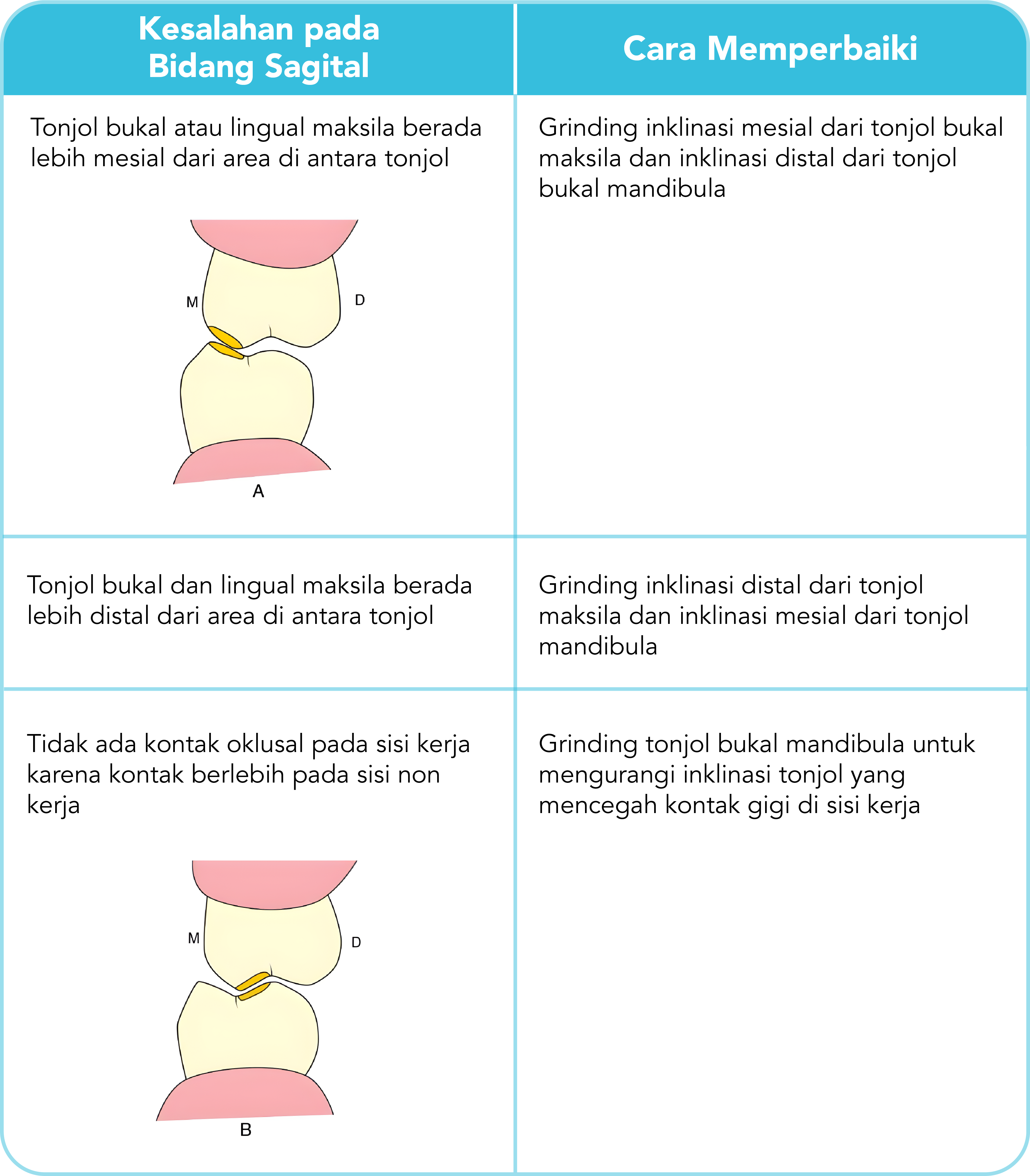 Insersi dan Penyesuaian Oklusi