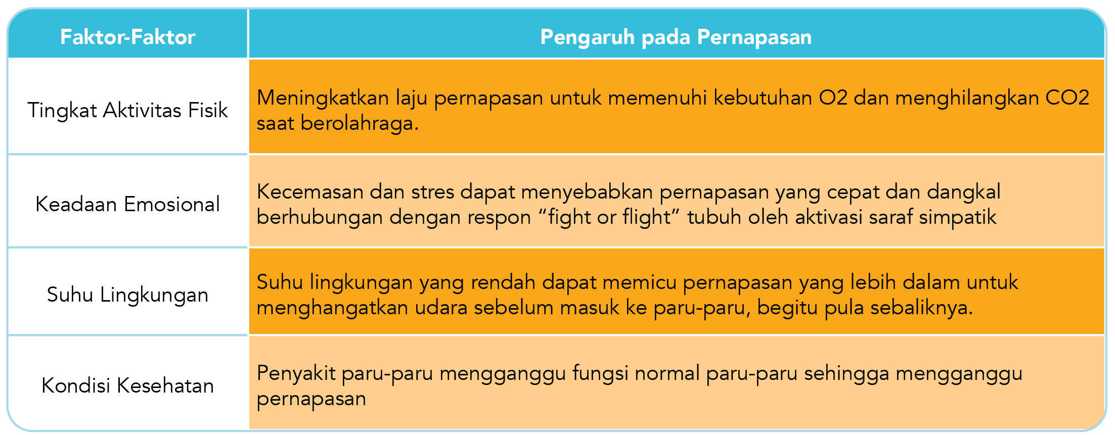 Fisiologi Sistem Respirasi
