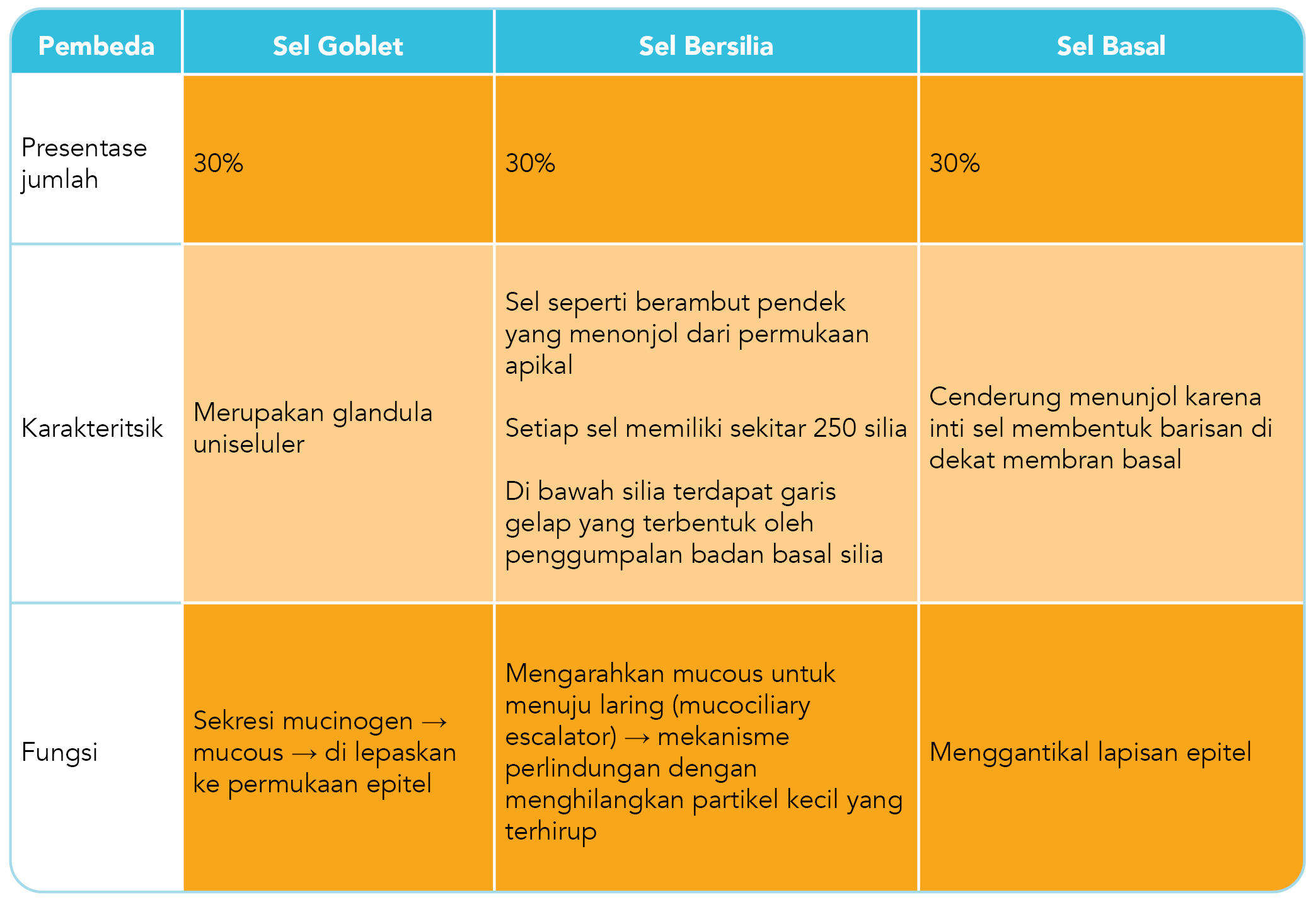 Histologi Saluran Respirasi