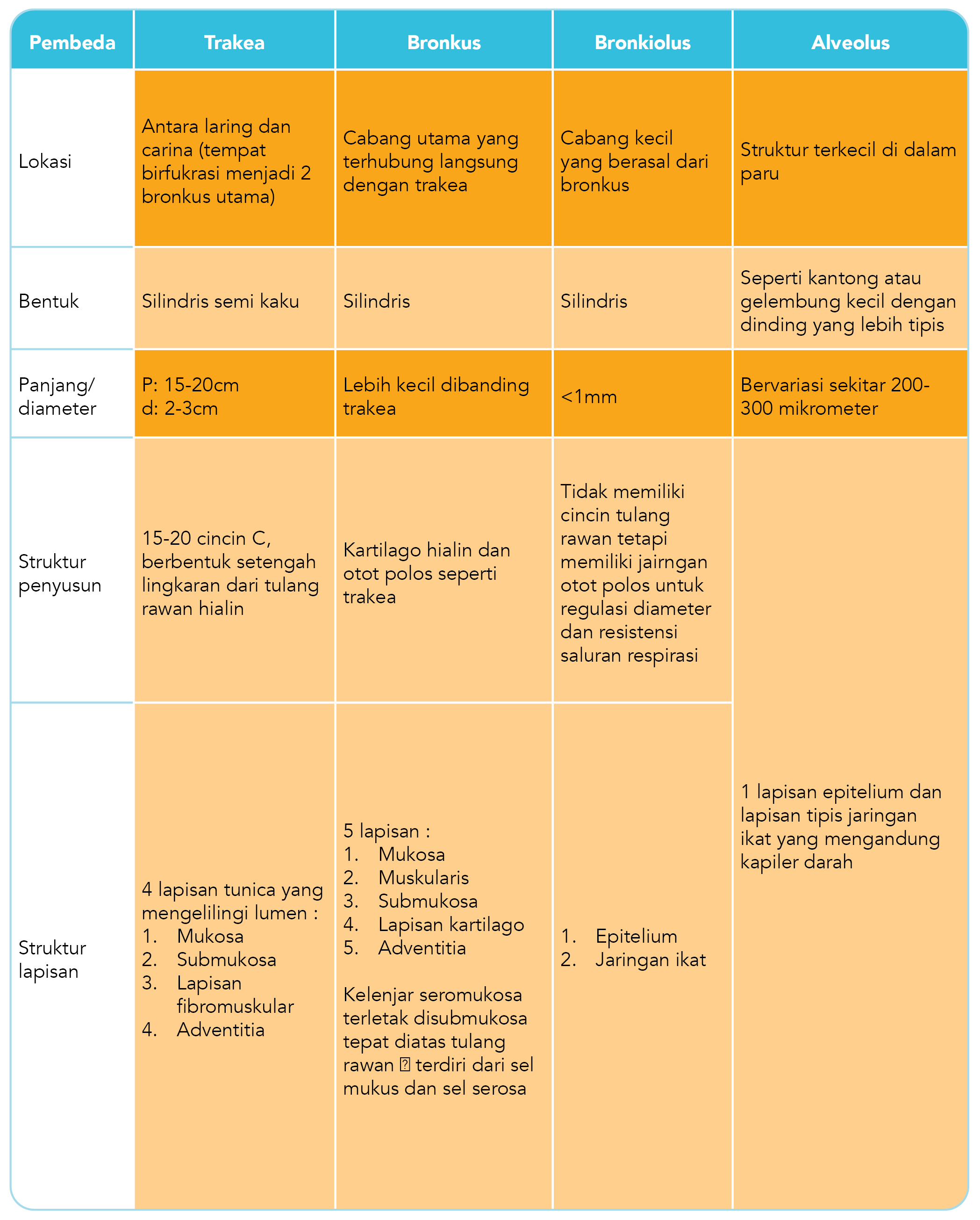 Histologi Saluran Respirasi