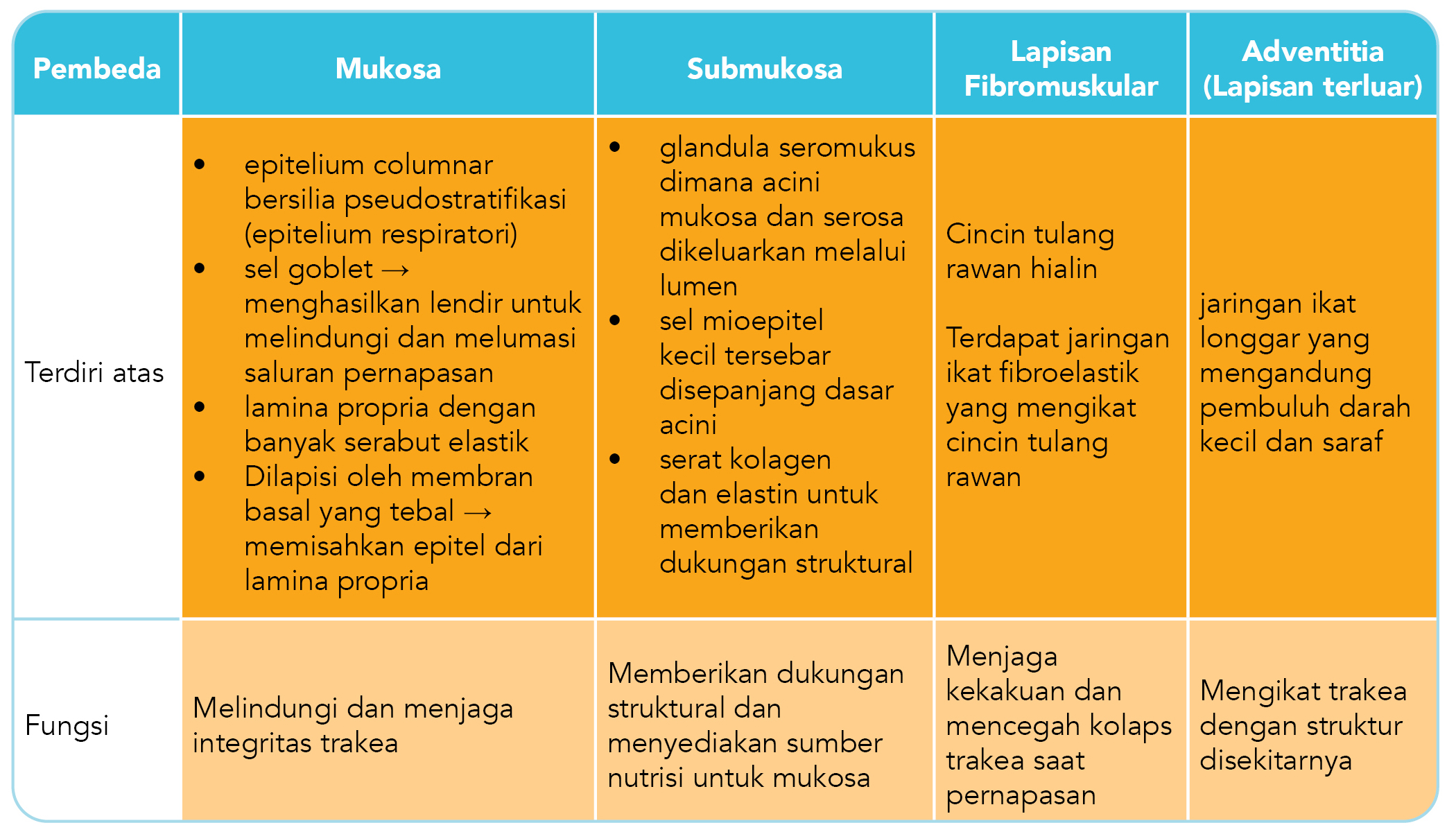 Histologi Saluran Respirasi