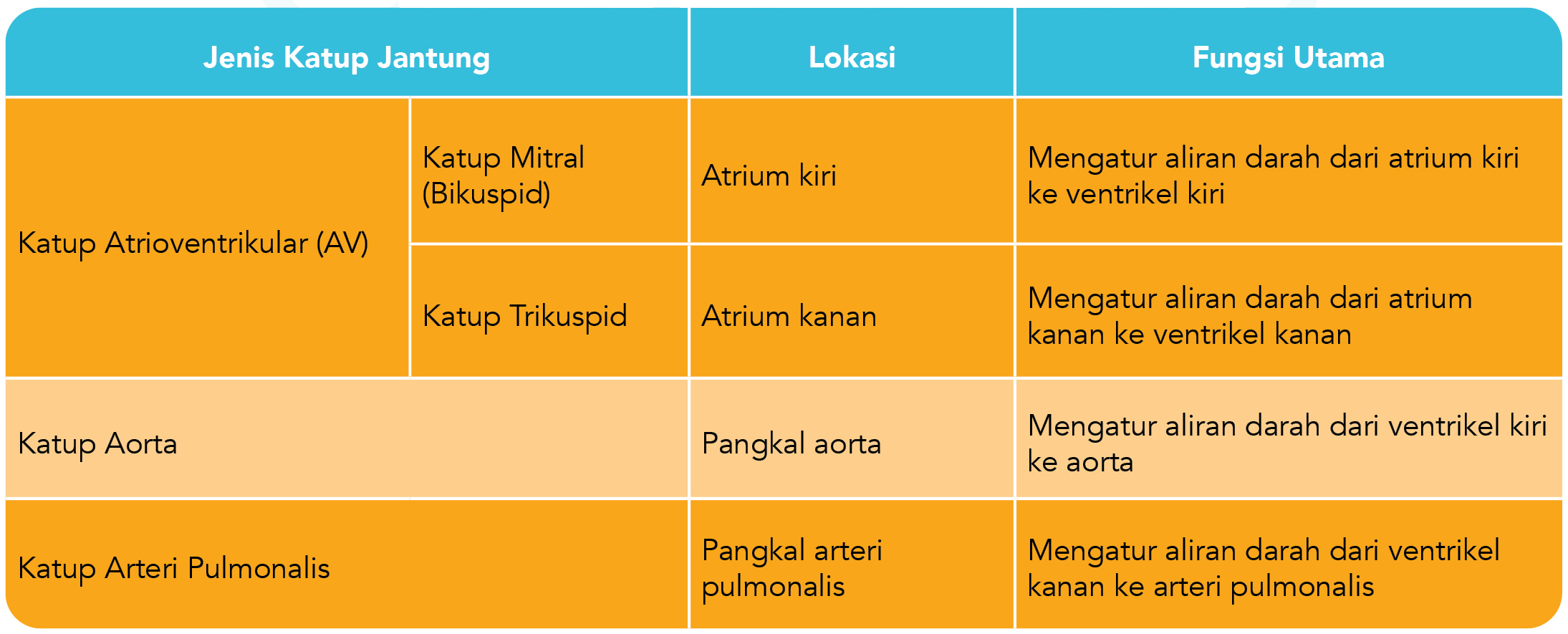 Fisiologi Sistem Kardiovaskuler