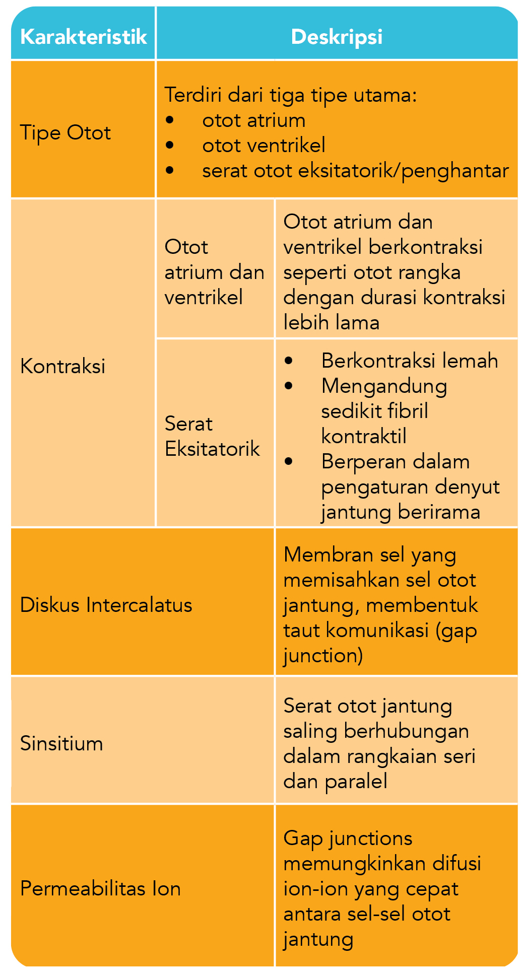 Fisiologi Sistem Kardiovaskuler