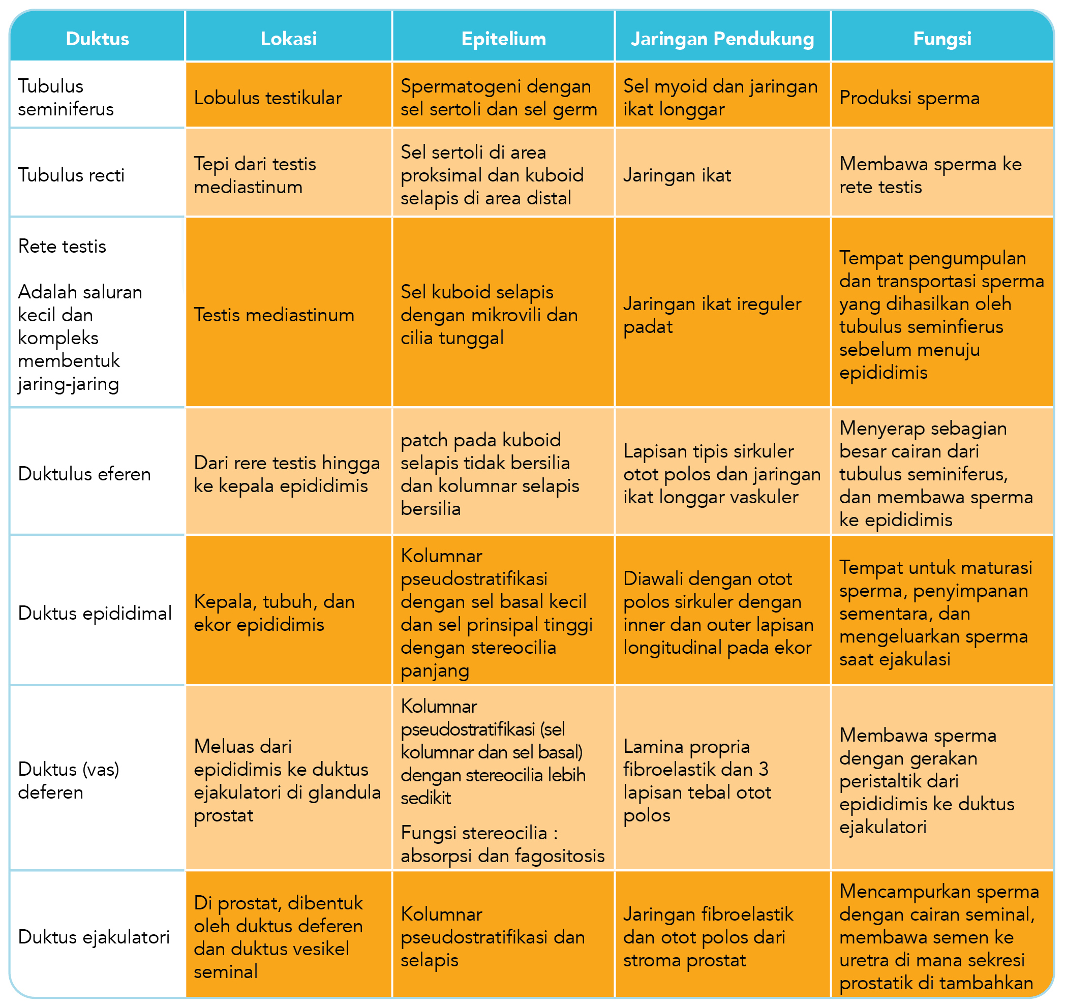 Histologi Sistem Urogenital