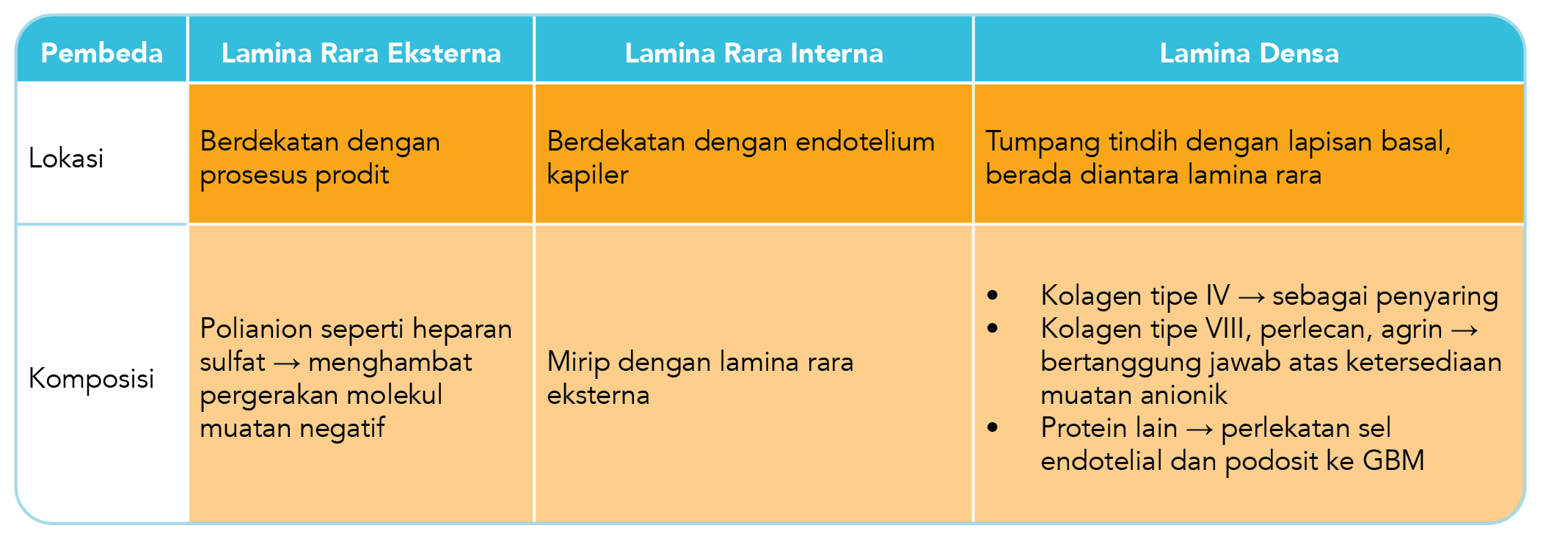 Histologi Sistem Urogenital