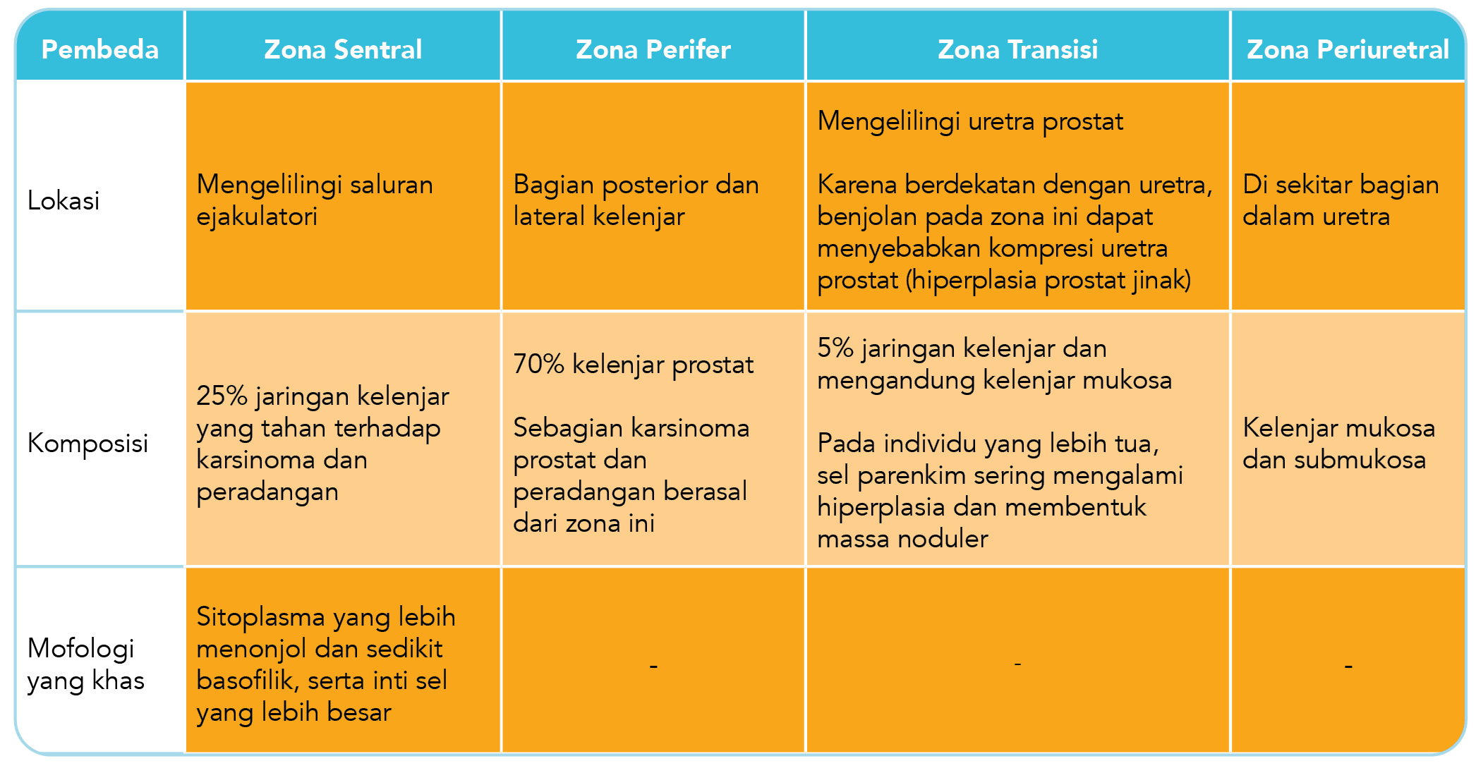 Histologi Sistem Urogenital