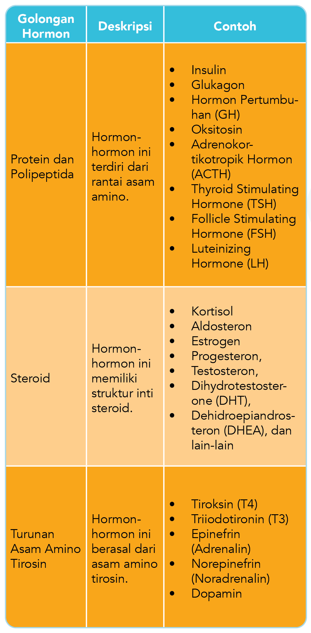 Fisiologi sistem glandula endocrina