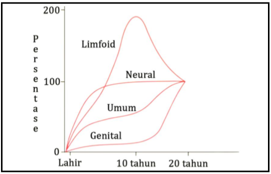 Pertumbuhan Dan Perkembangan Orofasial