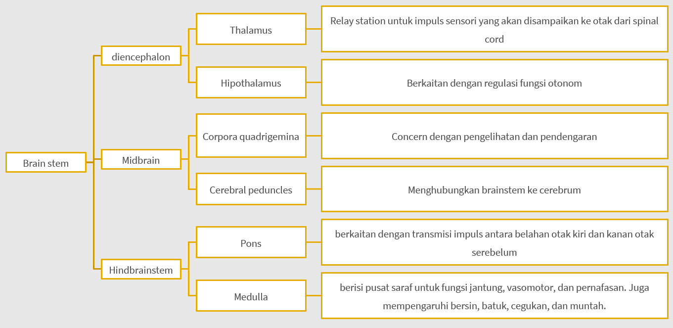 Fisiologi Sistem Saraf