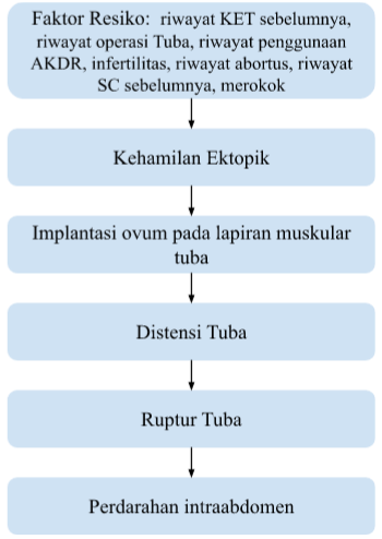Kehamilan Ektopik Terganggu